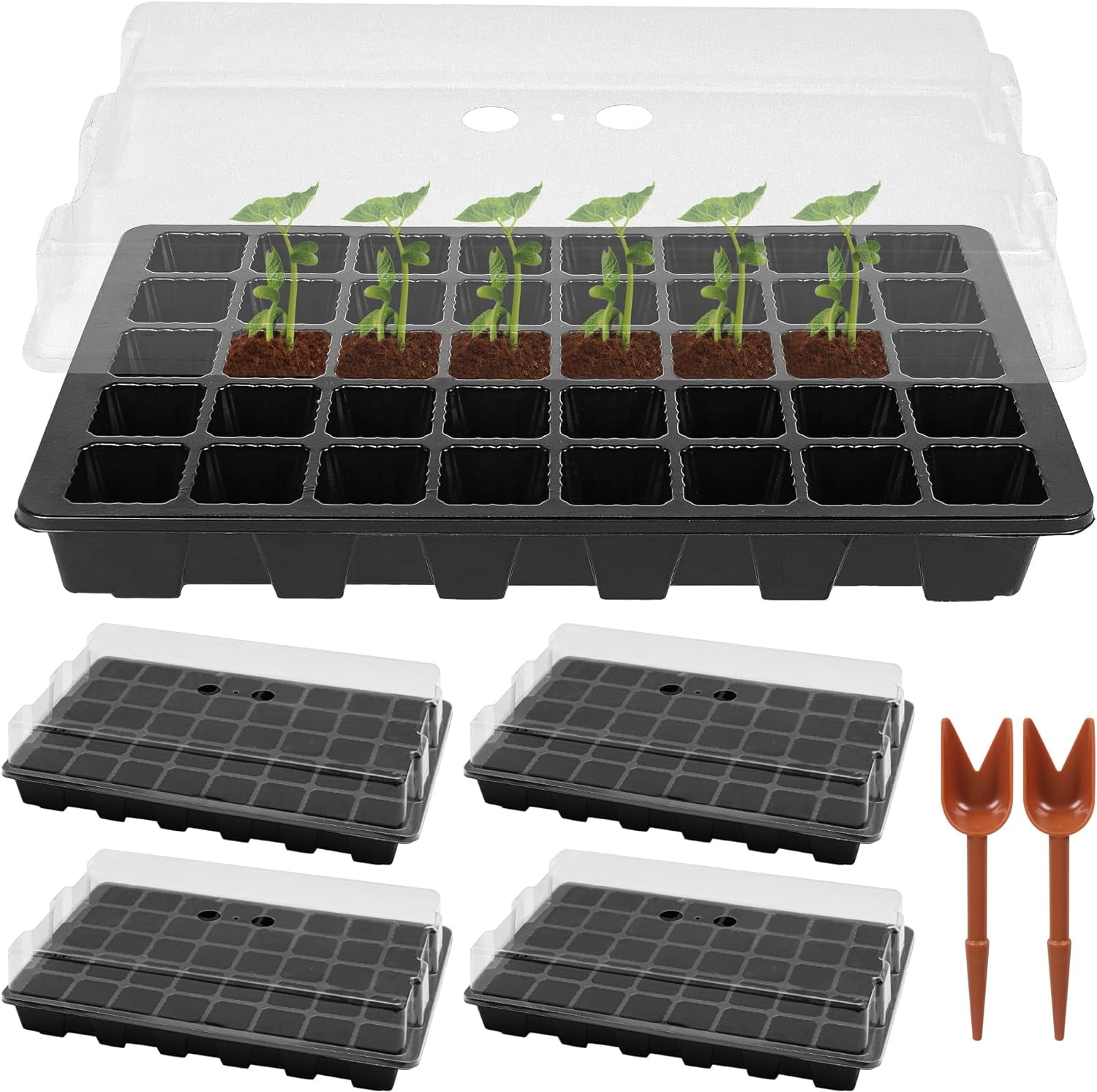 Seedling Trays Seed Starter Tray, 5-Pack Mini Propagator Plant ...