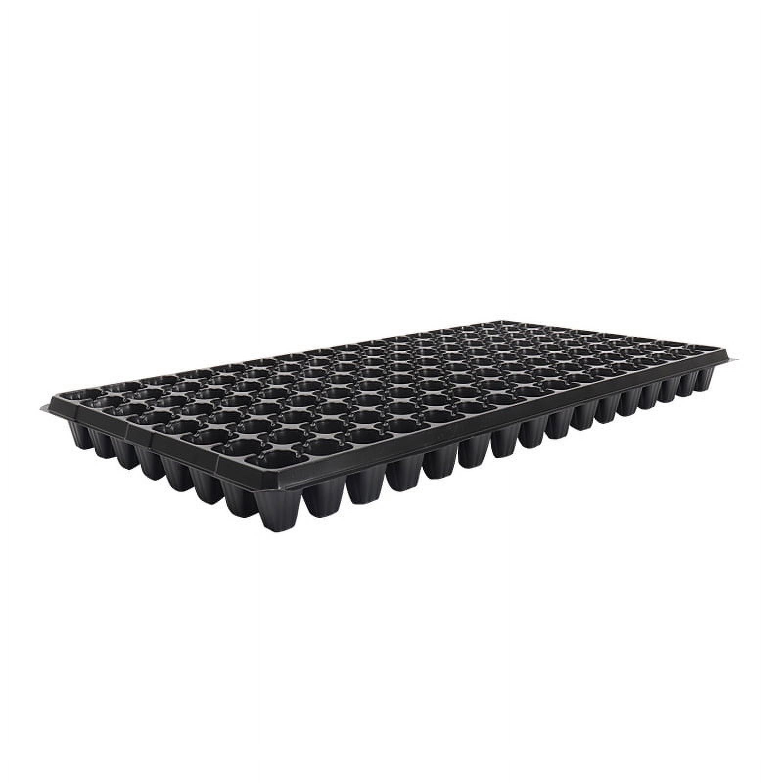 Seedling tray fleshy garden tray seedling tray sprouts seedling tray ...