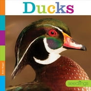 Quack and Count (Board Book) - Walmart.com