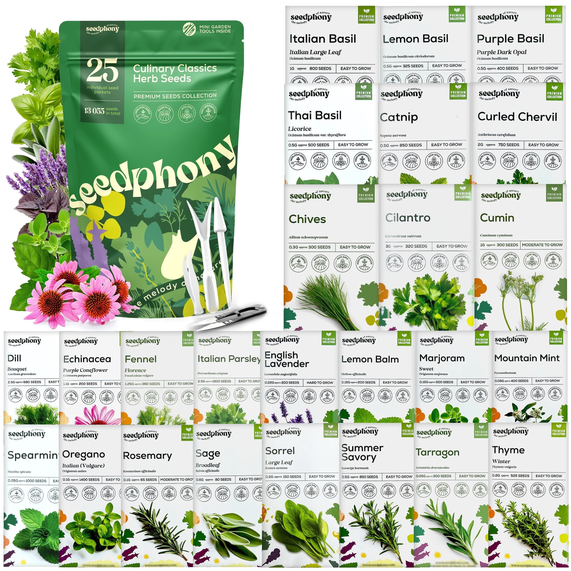 Seedphony 25 Culinary Classic Herb Seeds Variety Pack, 13,055+ Non-GMO ...