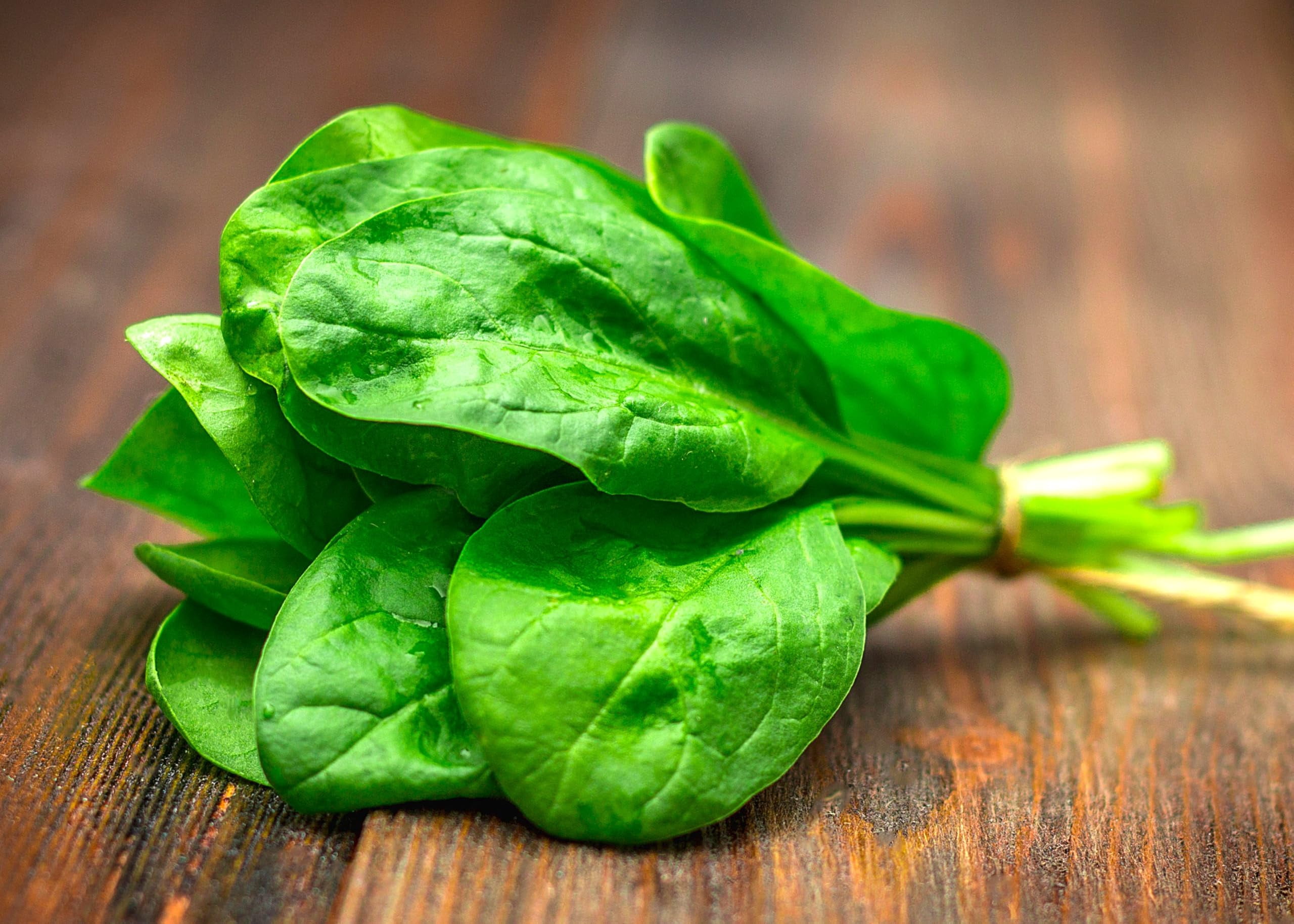 Seeds Giant Spinach 300+ Seeds for TVS1 Planting Annual Green Leafy ...