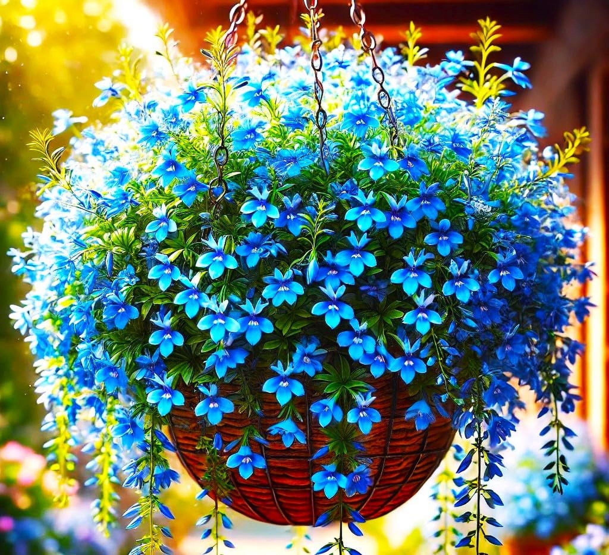 Seeds Lobelia Blue Cascade 1000+ Seeds MVR1 for Planting Flowers ...