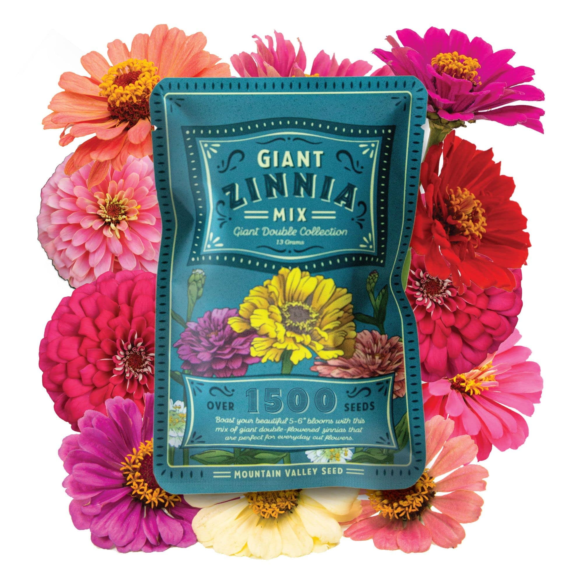 Seeds for Planting MMF7 Outdoors - ~1,500 California Giant Seeds ...