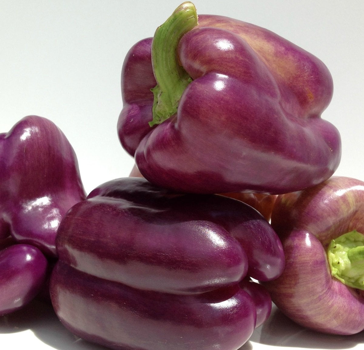 Seeds Sweet PepperTRDN Oda Purple Bell Heirloom Vegetable for Planting ...
