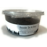 Tuberous Begonia Nonstop Series Plant Seeds (Pelleted): Mocha Deep ...