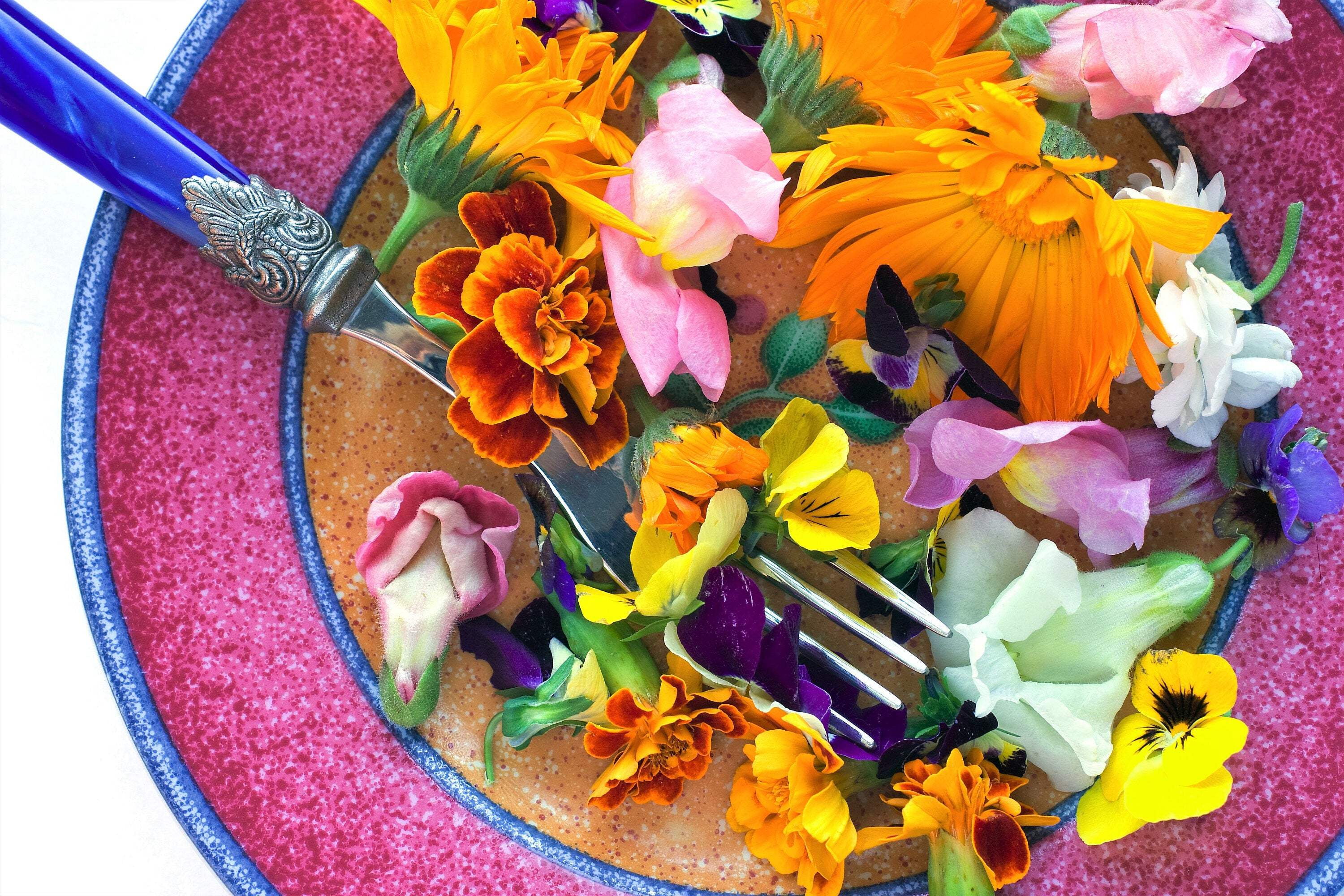 EDIBLE FLOWER MIX Seeds - 16 Types: Marigold, Daisy, Viola, Safflower ...