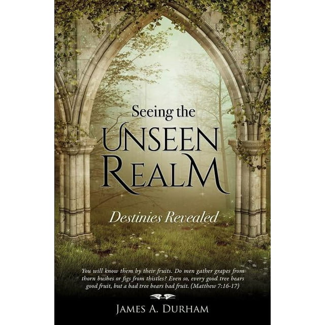 Seeing The Unseen Realm - Walmart.com