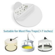 PF Harris Bed Bug Traps 8 Pack - Easy-to-Use Bed Bug Monitoring ...