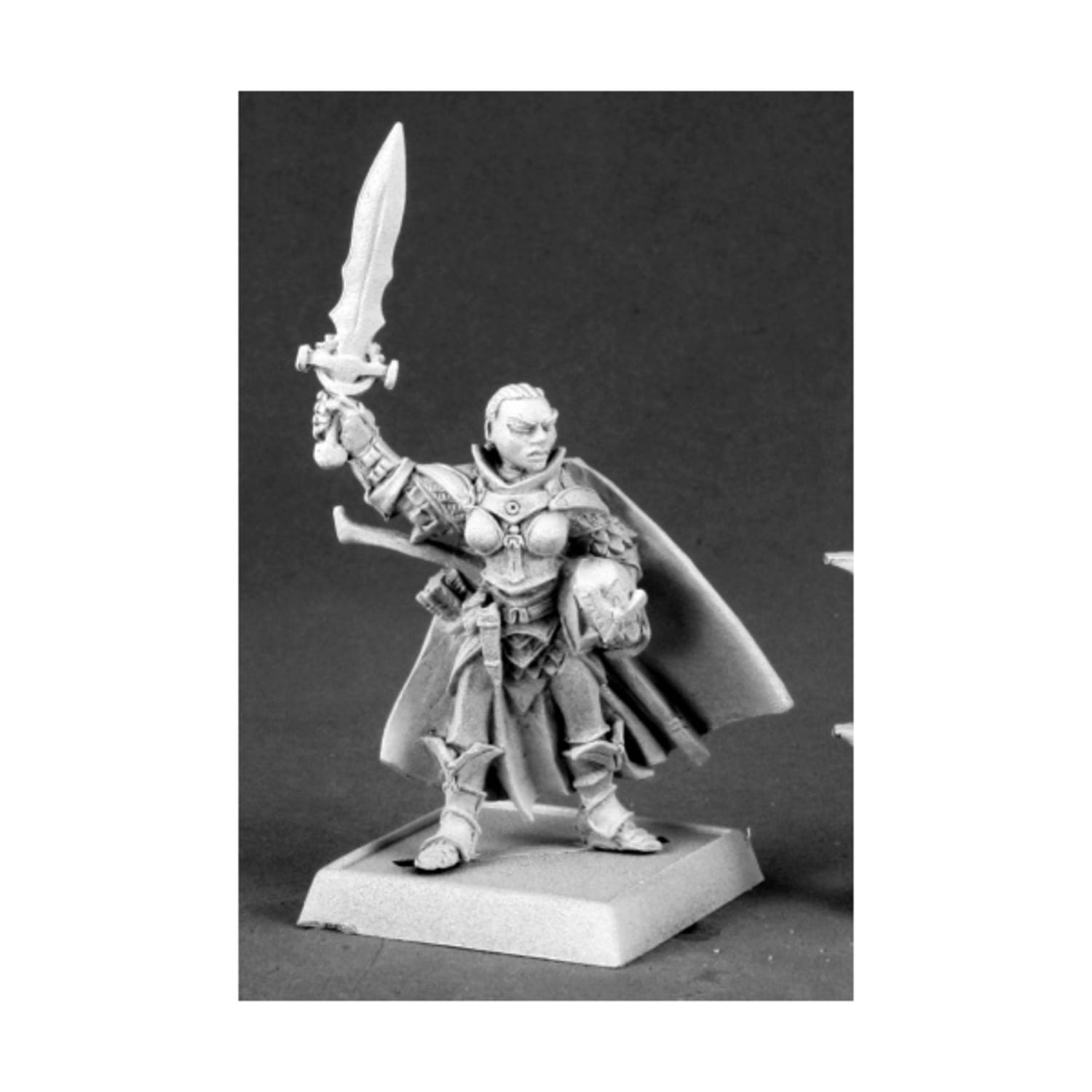 Seelah - Iconic Paladin New - Walmart.com