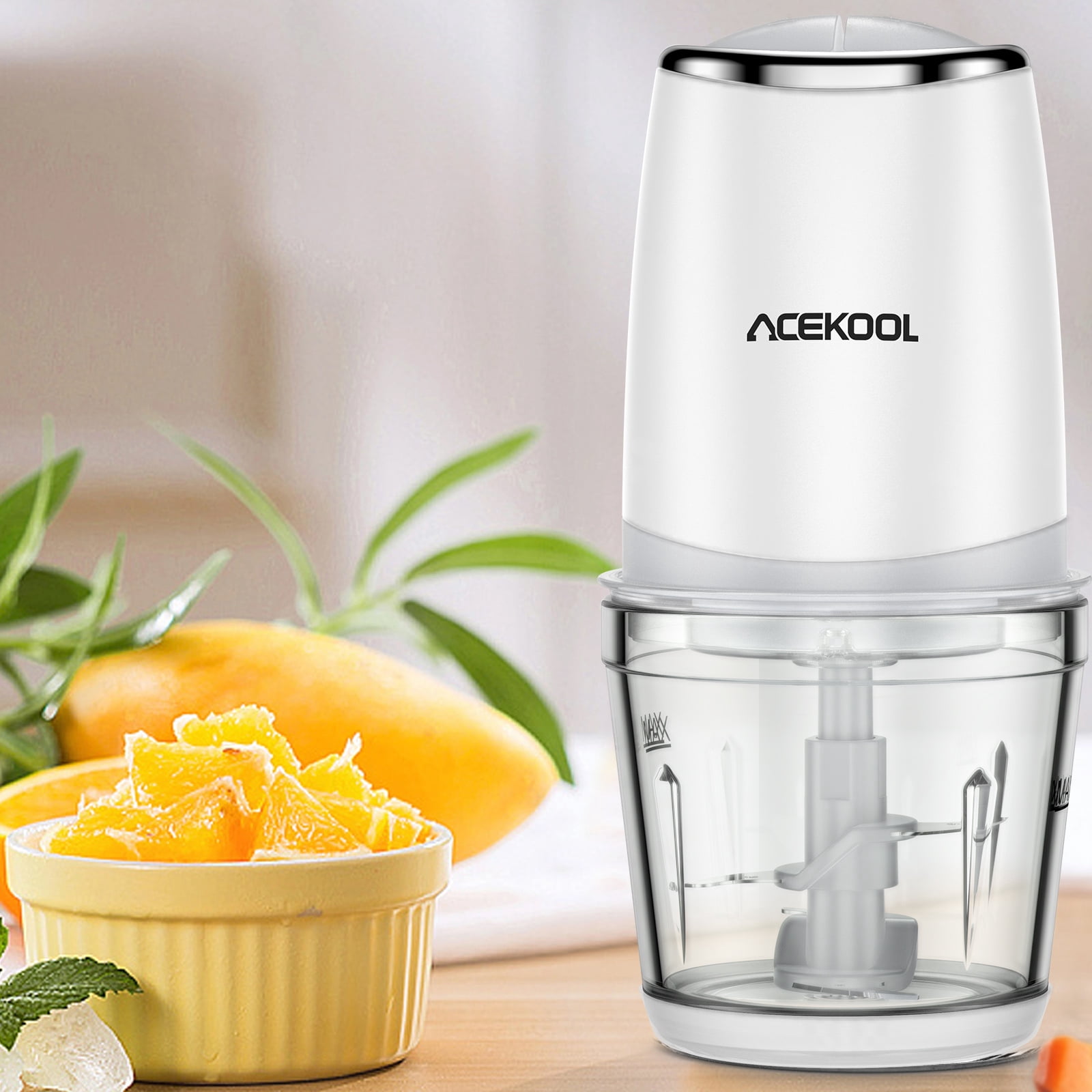Seetaras Mini Food Processor with 2.5 Cup Glass Bowl, Small Electric ...