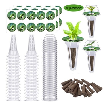 Back to the Roots Organic Pearl Oyster Mushroom Mini Grow Kit, Indoor ...