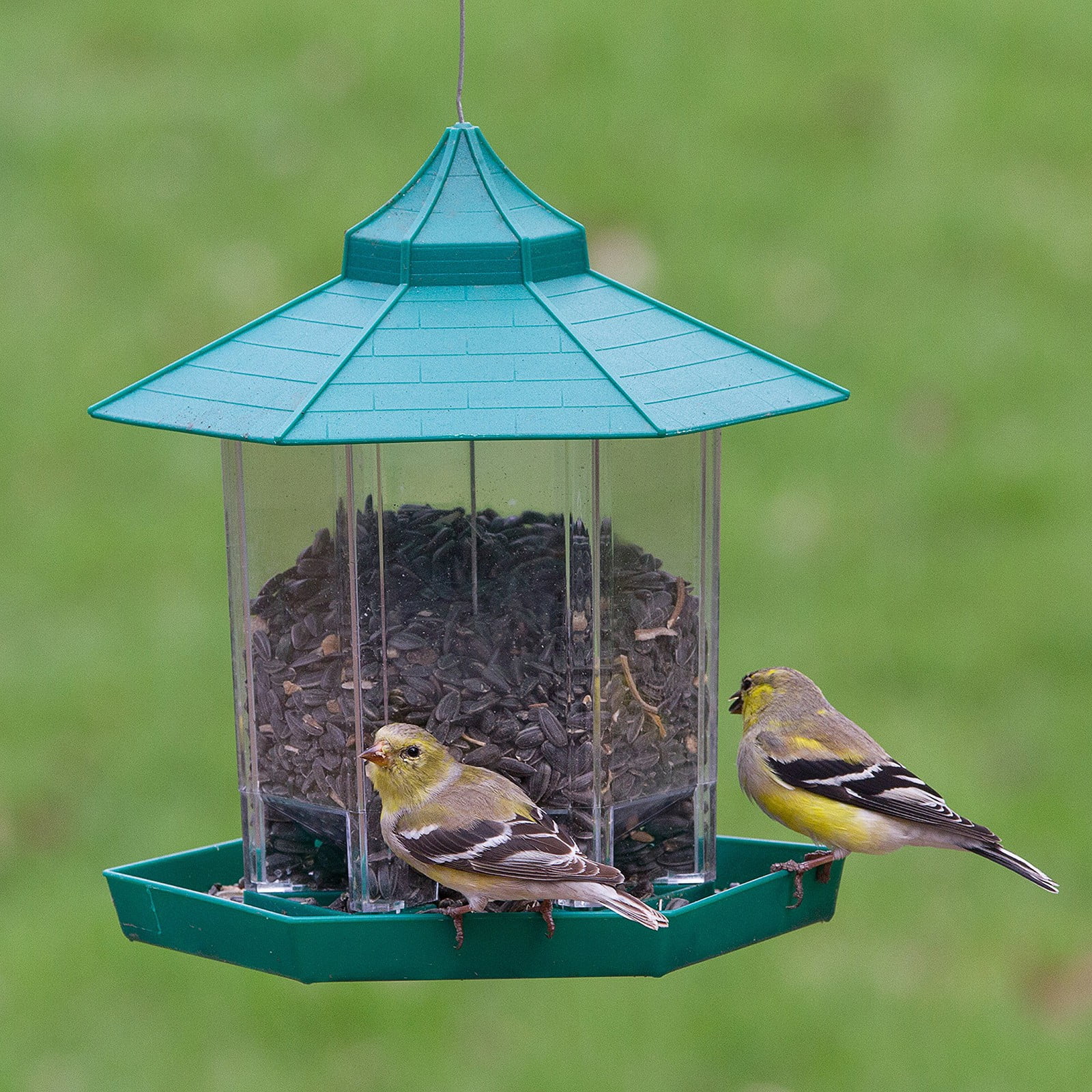 Seewan Bird Hanging Feeders for Outdoors, Wild Bird Seed for Outside ...