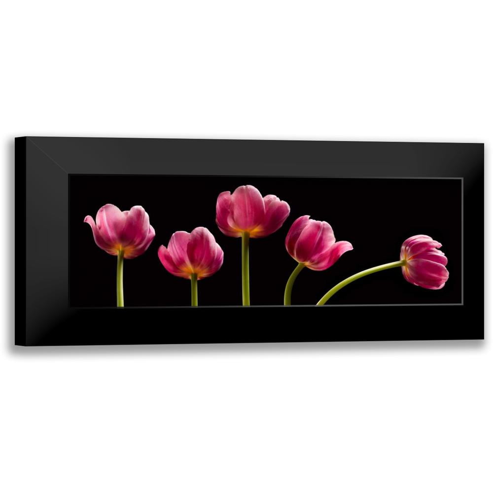 Seidman, Barry 14x8 Black Modern Framed Museum Art Print Titled - Five ...