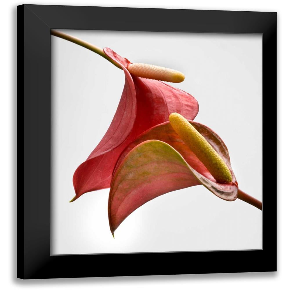 Seidman, Barry 15x17 Black Modern Framed Museum Art Print Titled ...