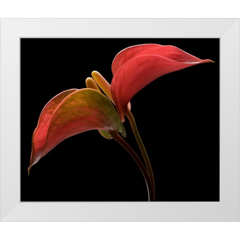 Seidman, Barry 17x15 White Modern Wood Framed Museum Art Print Titled ...