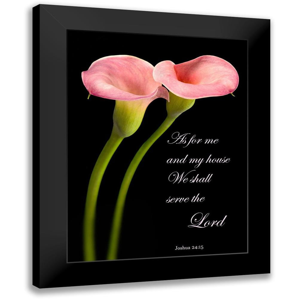 Seidman, Barry 19x24 Black Modern Framed Museum Art Print Titled ...