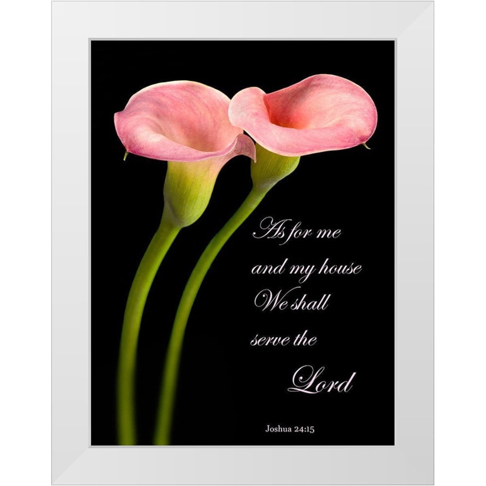 Seidman, Barry 19x24 White Modern Wood Framed Museum Art Print Titled ...