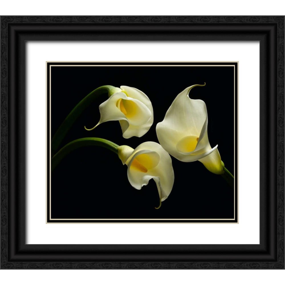 Seidman, Barry 23x20 Black Ornate Wood Framed with Double Matting ...