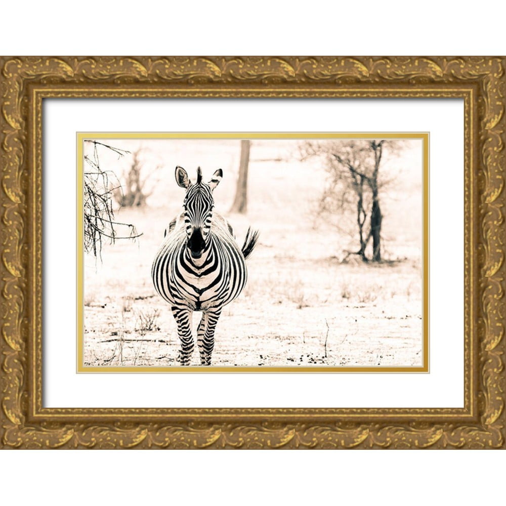 Seifinger, Toby 14x11 Gold Ornate Wood Framed with Double Matting ...