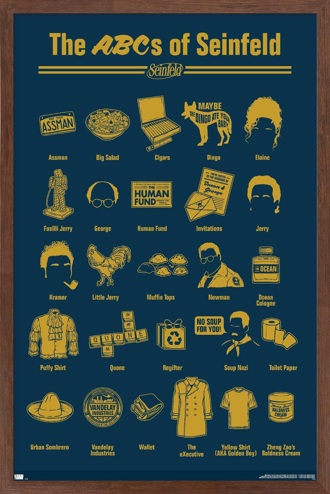 Seinfeld - ABCs of Seinfeld Wall Poster, 22.375" x 34" Framed - Walmart.com