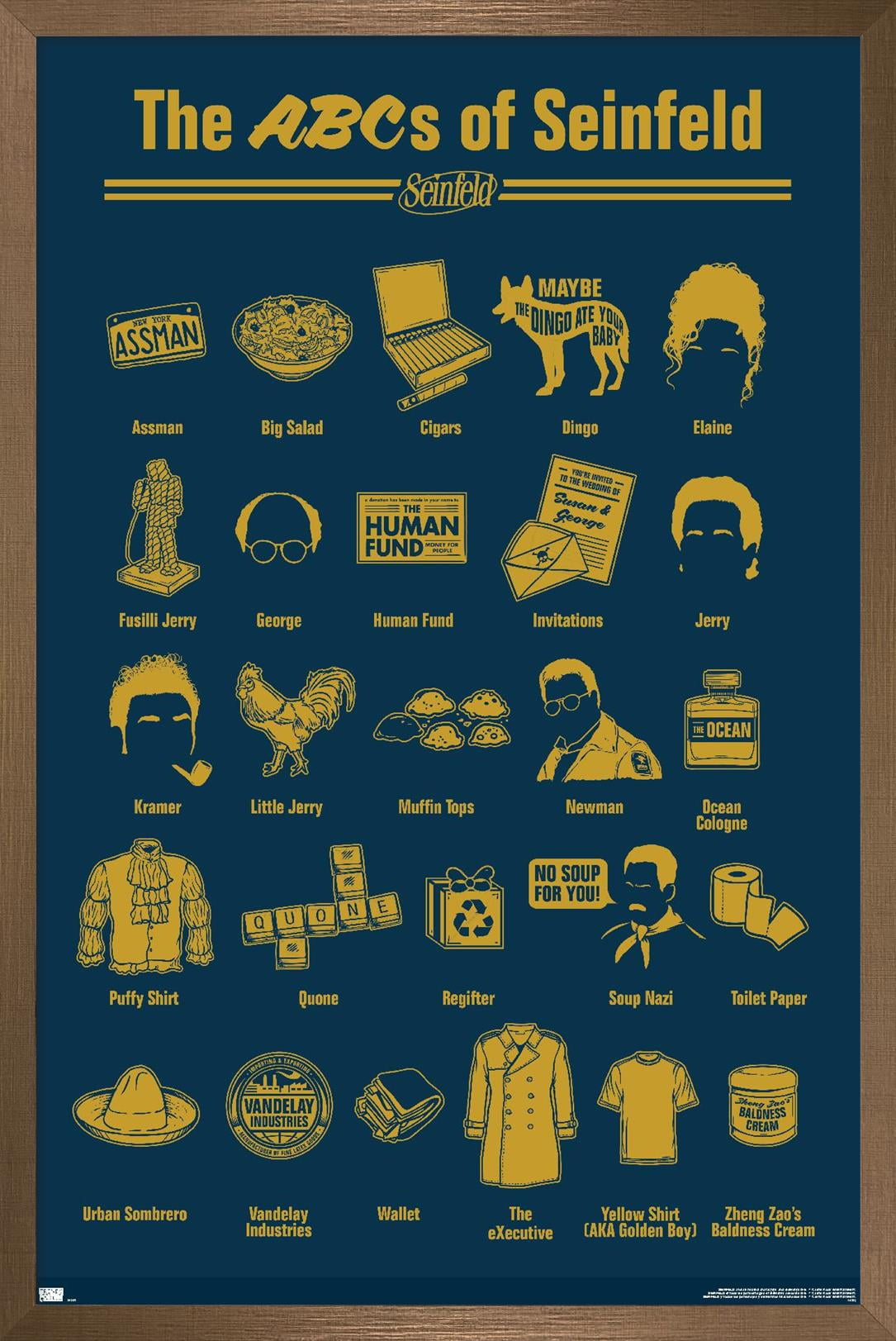 Seinfeld - ABCs of Seinfeld Wall Poster, 22.375" x 34" Framed - Walmart.com