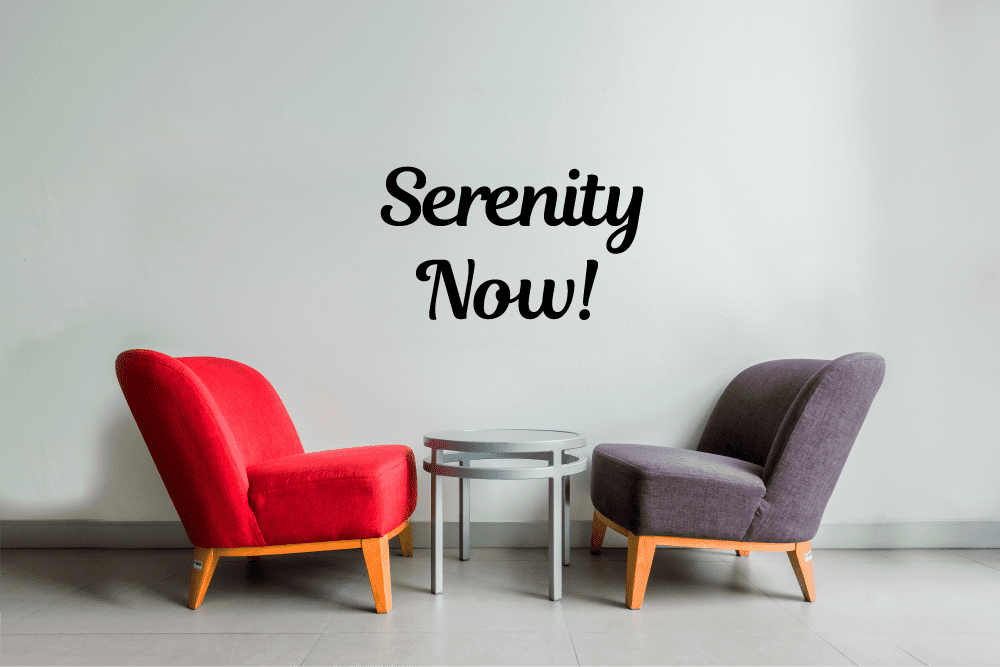 Seinfeld Serenity Now TV Show Series Sitcom Quote Wall Stickers Decor Design for Boys/Girls ...