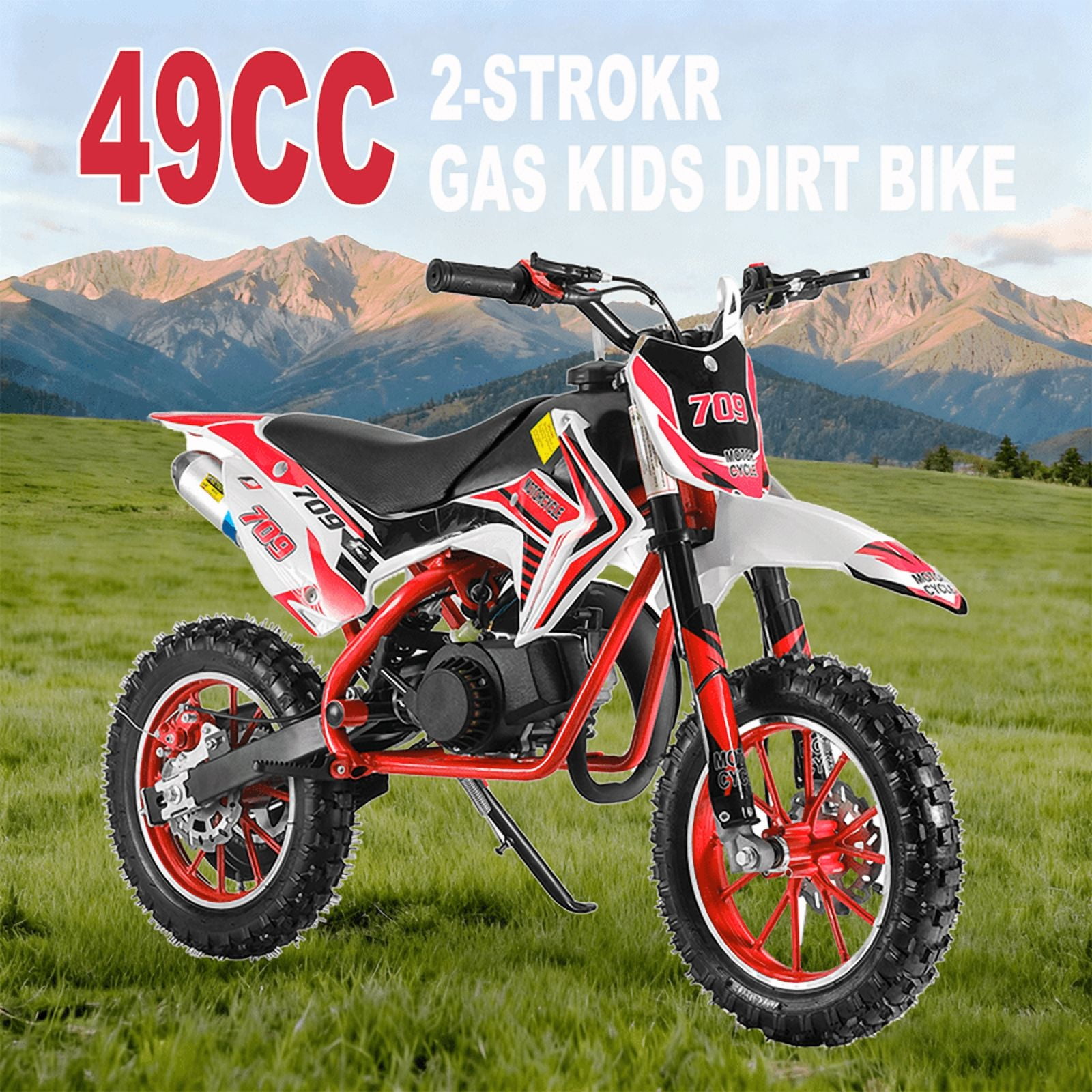 Seipouy 2025 Upgrade 49cc Kids Dirt Bike with Dual Disc Brakes, 2-Stroke 30KM/H Gas Pitbike ...