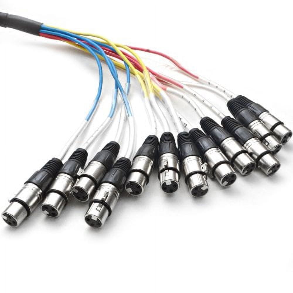 Seismic Audio - 12 Channel XLR Snake Cable - 10 Feet Long - Pro Audio ...