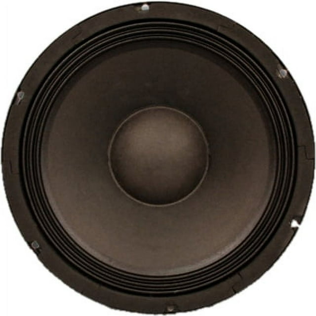 Seismic Audio Quake Speaker, 125 W RMS, 250 W PMPO - Walmart.com