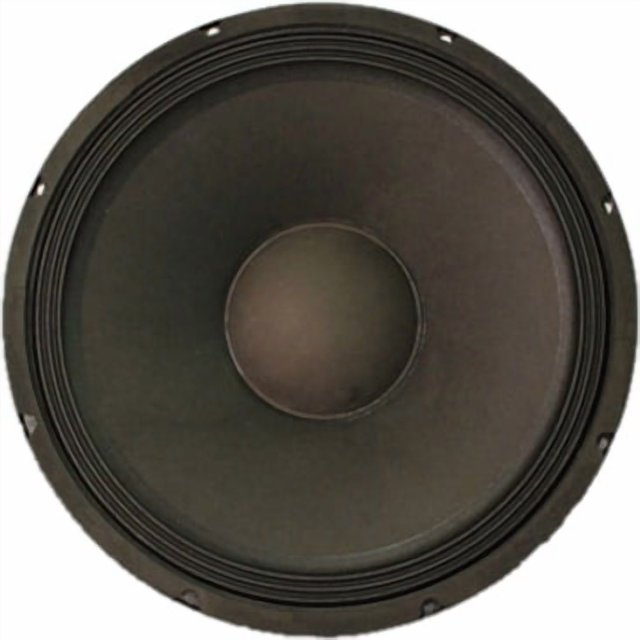 Seismic Audio Quake Woofer, 200 W RMS, 400 W PMPO - Walmart Business ...