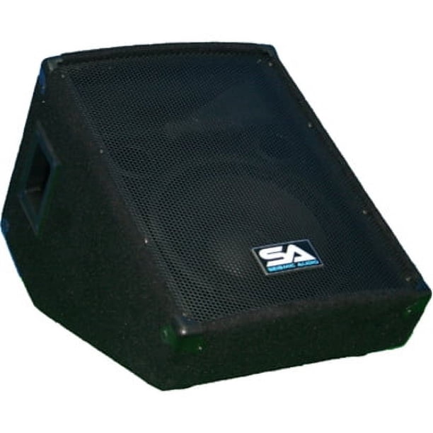 Seismic Audio SA-10M Single 2-Way Indoor Floor Monitor Speaker, 100 W ...