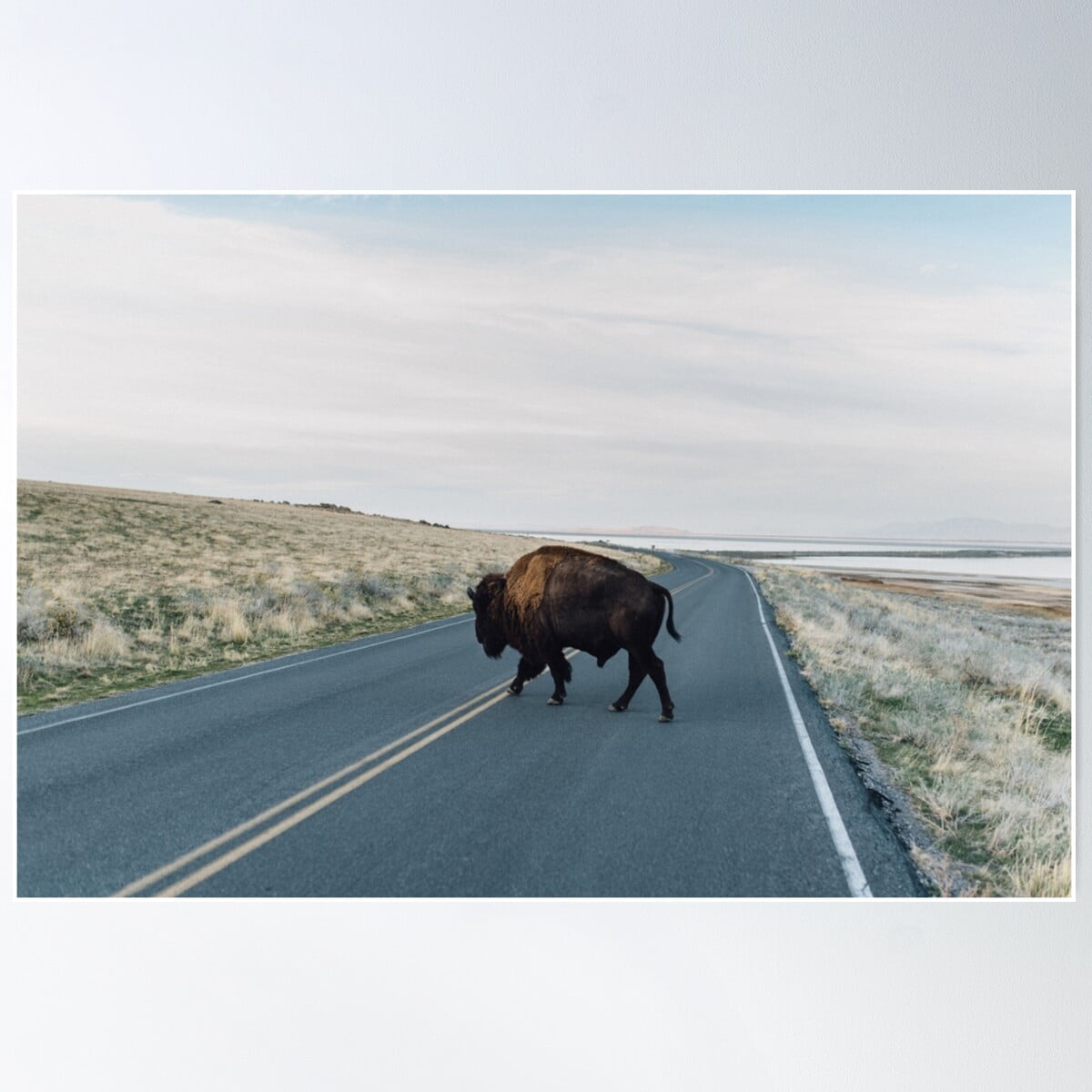 Seldom Is Herd Poster Wall Art, Modern Wall Decor For Living Room ...