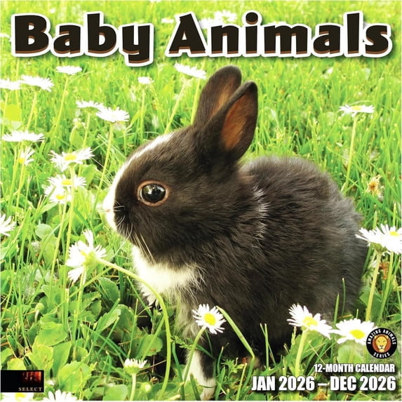 Select - 2026 Wall Calendar 12 Month | 12" x 24" Open | Thick & Sturdy ...