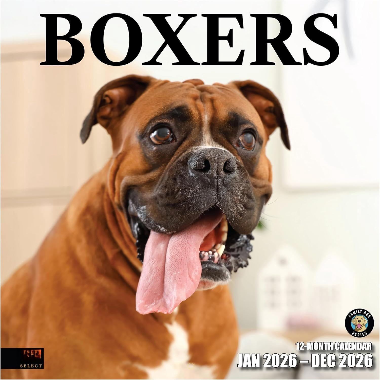 Select - Boxers 2026 Wall Calendar 12 Month | 12" x 24" Open | Thick ...