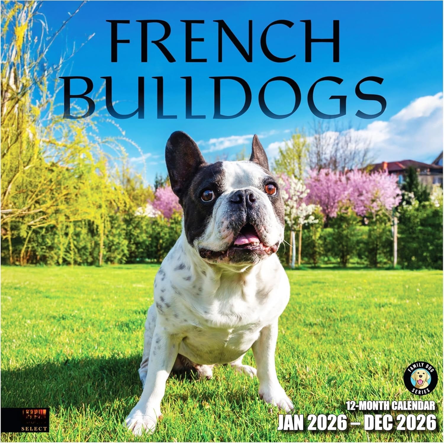Select - Bulldogs 2026 Wall Calendar 12 Month | 12" x 24" Open | Thick ...