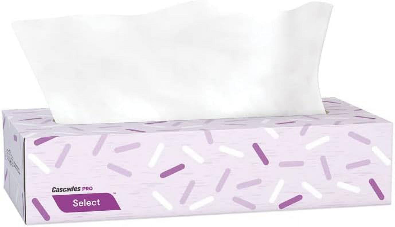Select Flat Box Facial Tissue, 2-Ply, White, 100 Sheets/Box, 30 Boxes ...