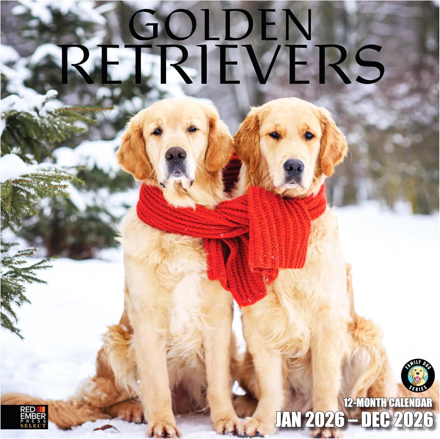 Select - Golden Retrievers 2026 Wall Calendar 12 Month | 12" x 24" Open ...