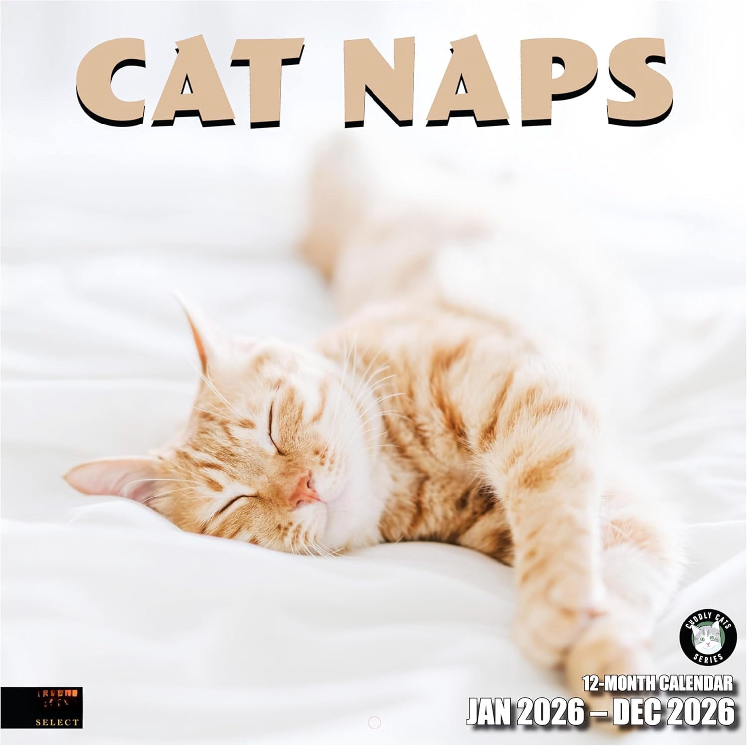 Select - Naps 2026 Wall Calendar 12 Month | 12" x 24" Open | Thick ...