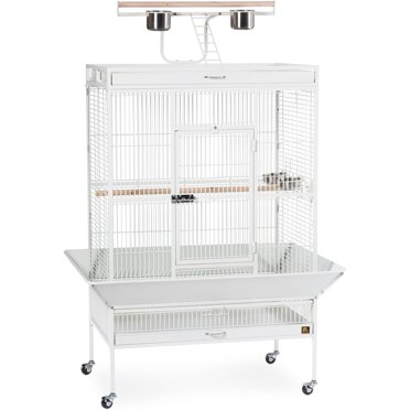 Prevue Pet Large Wrought Iron Parrot Cage, Suitable for Cockatiel ...