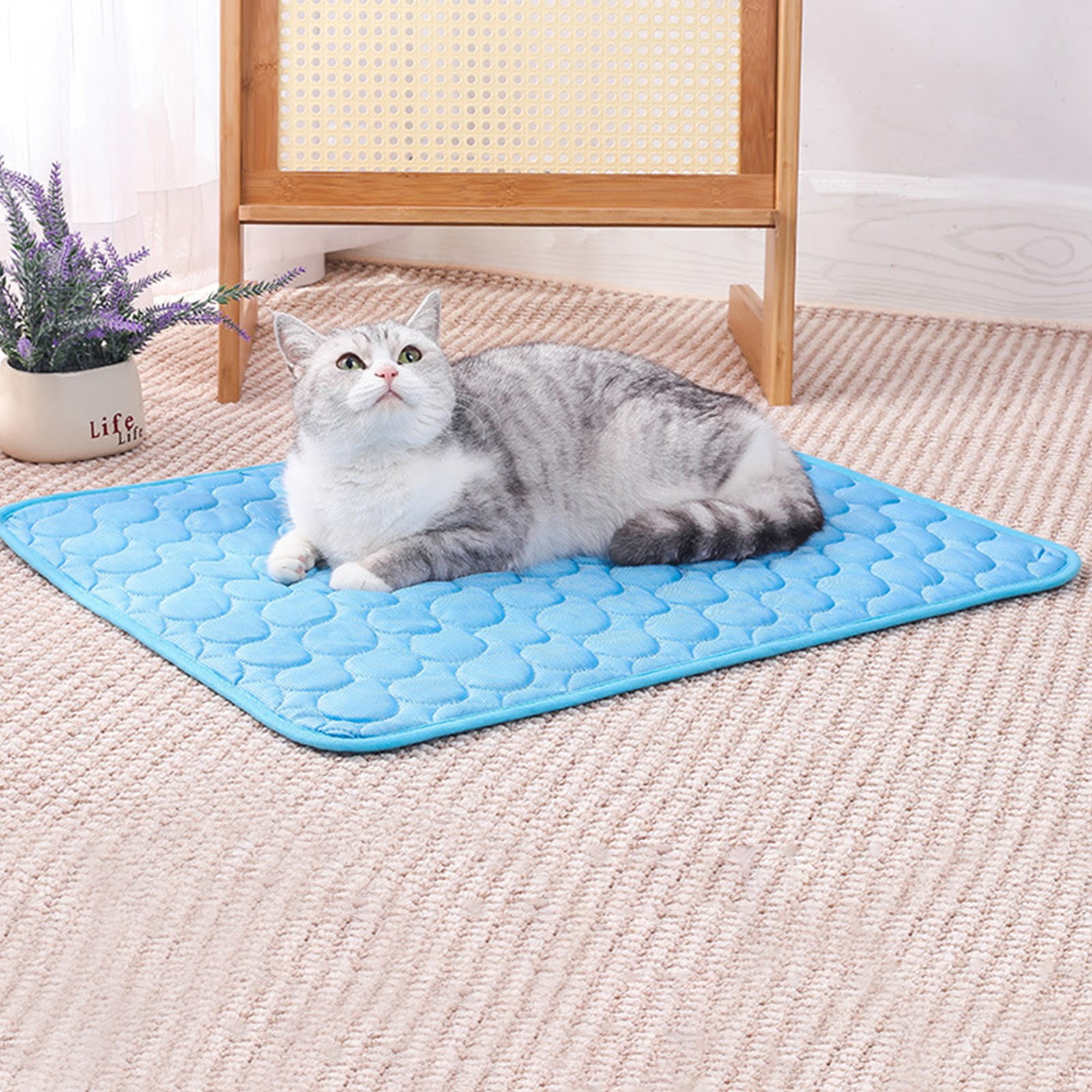 Self-Cooling Dog Mat for Summer Ice Silk Pet Cooling Pad for Cats ...