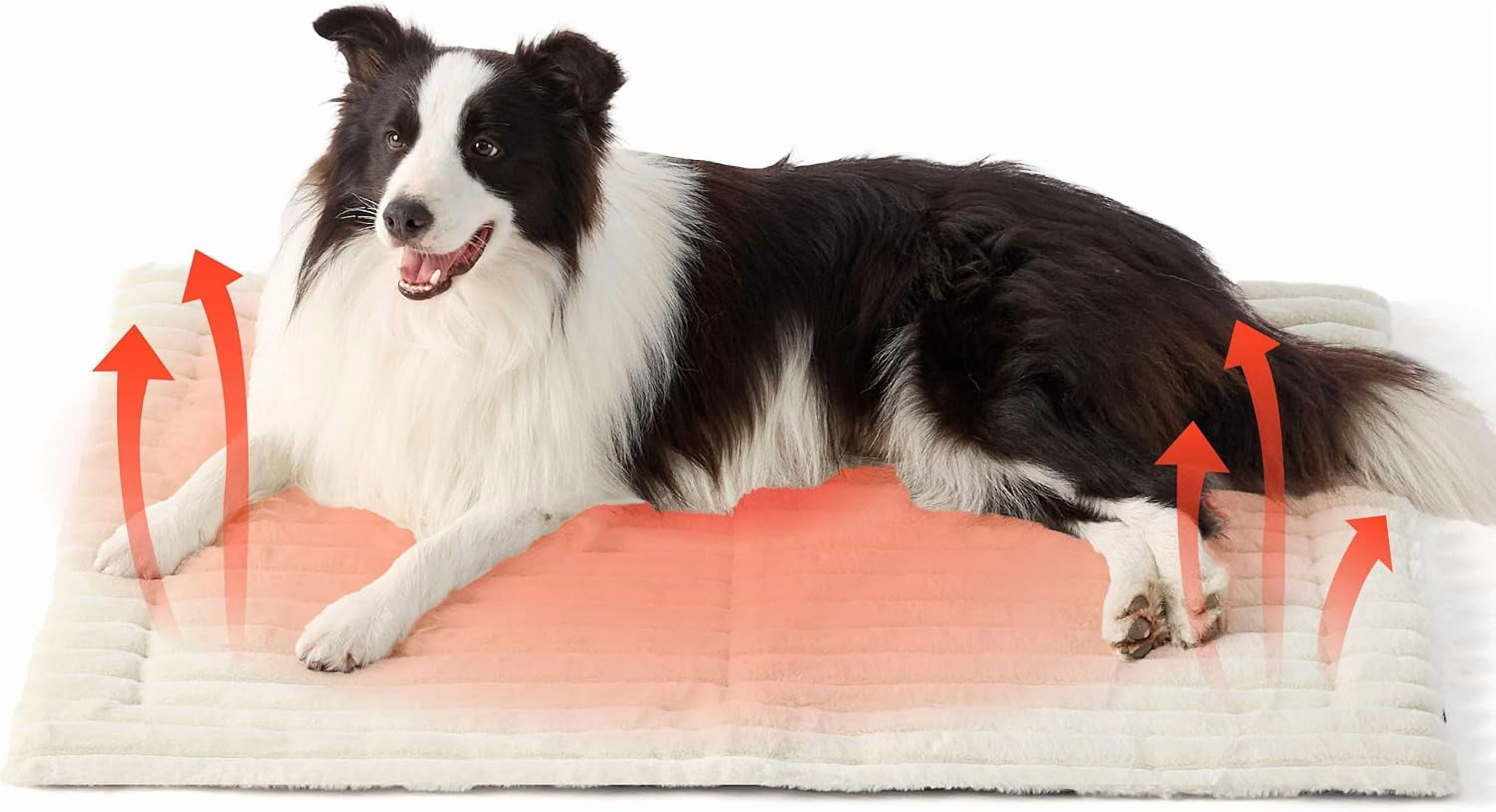 Self Heating Pet Mat for Cats and Dogs, Thermal Cozy Indoor Bed Pad ...