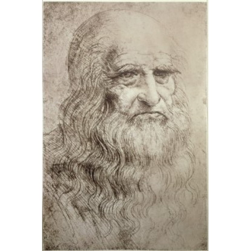 Self Portrait in Old Age ca1512 Leonardo da Vinci Chalk and ink ...