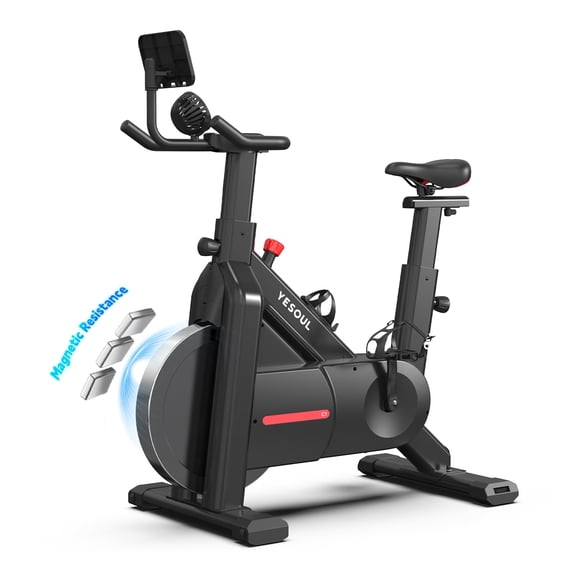 Fan Bike