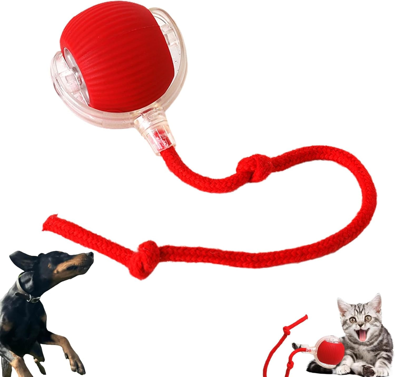 Self Rolling Dog Ball,Interactive Cat Toys Rolling Ball Chewie Viral ...