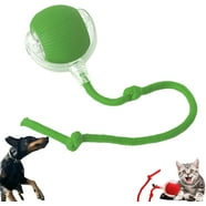 Eoperou Interactive Dog Toy Ball for Small Medium Dogs Motion Activated ...