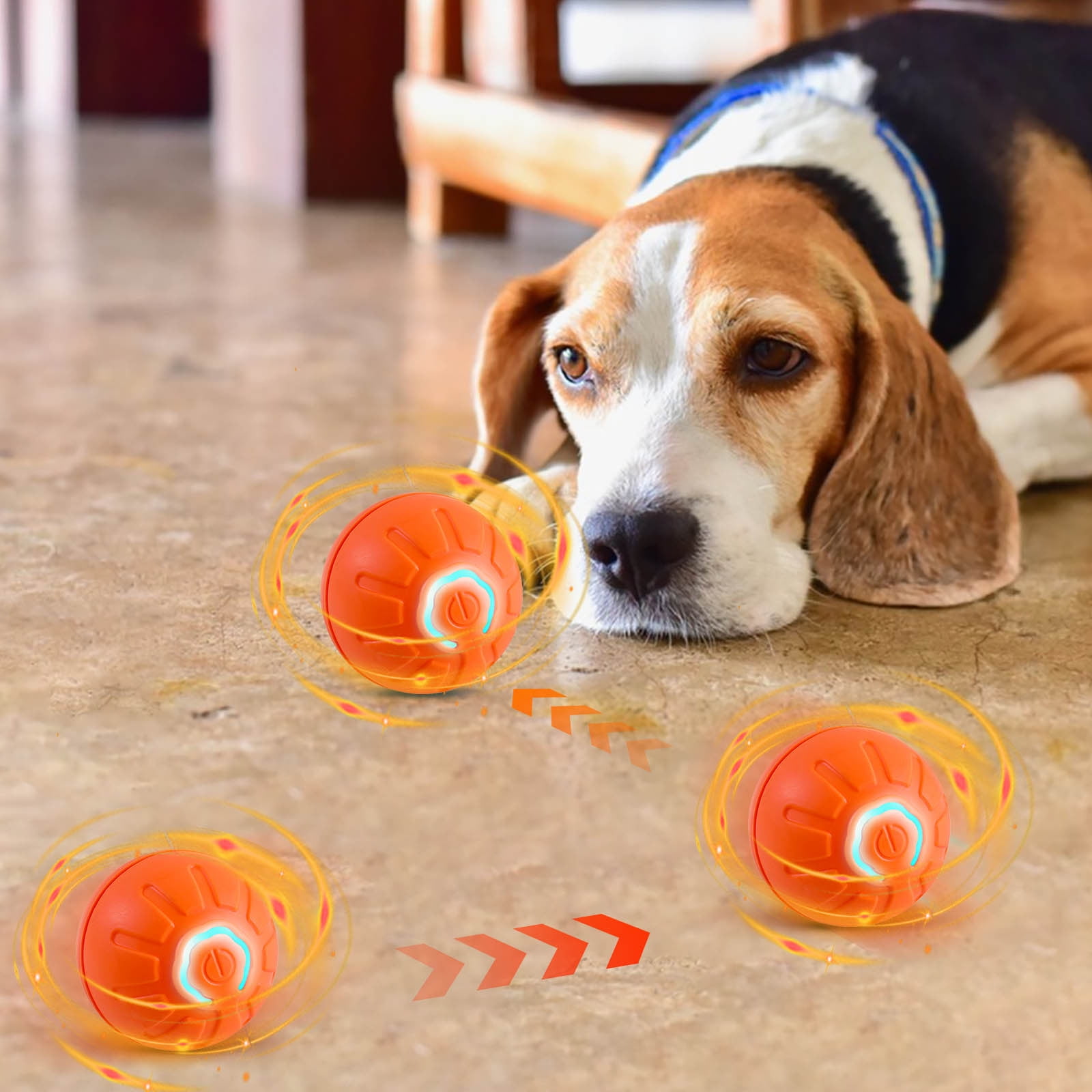 Self-Rolling Dog Ball, Interactive Pet Toys Automatic Bouncing Ball for ...