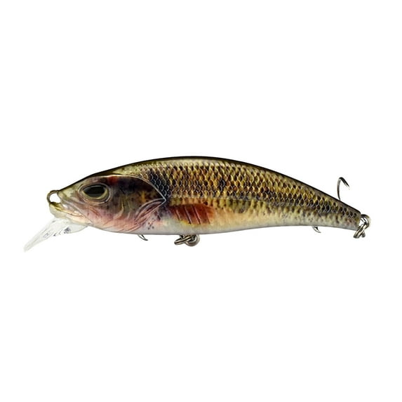 Self-Swimming 3D Lifelike Jerkbait Reusable Hard Body with Joints for ...