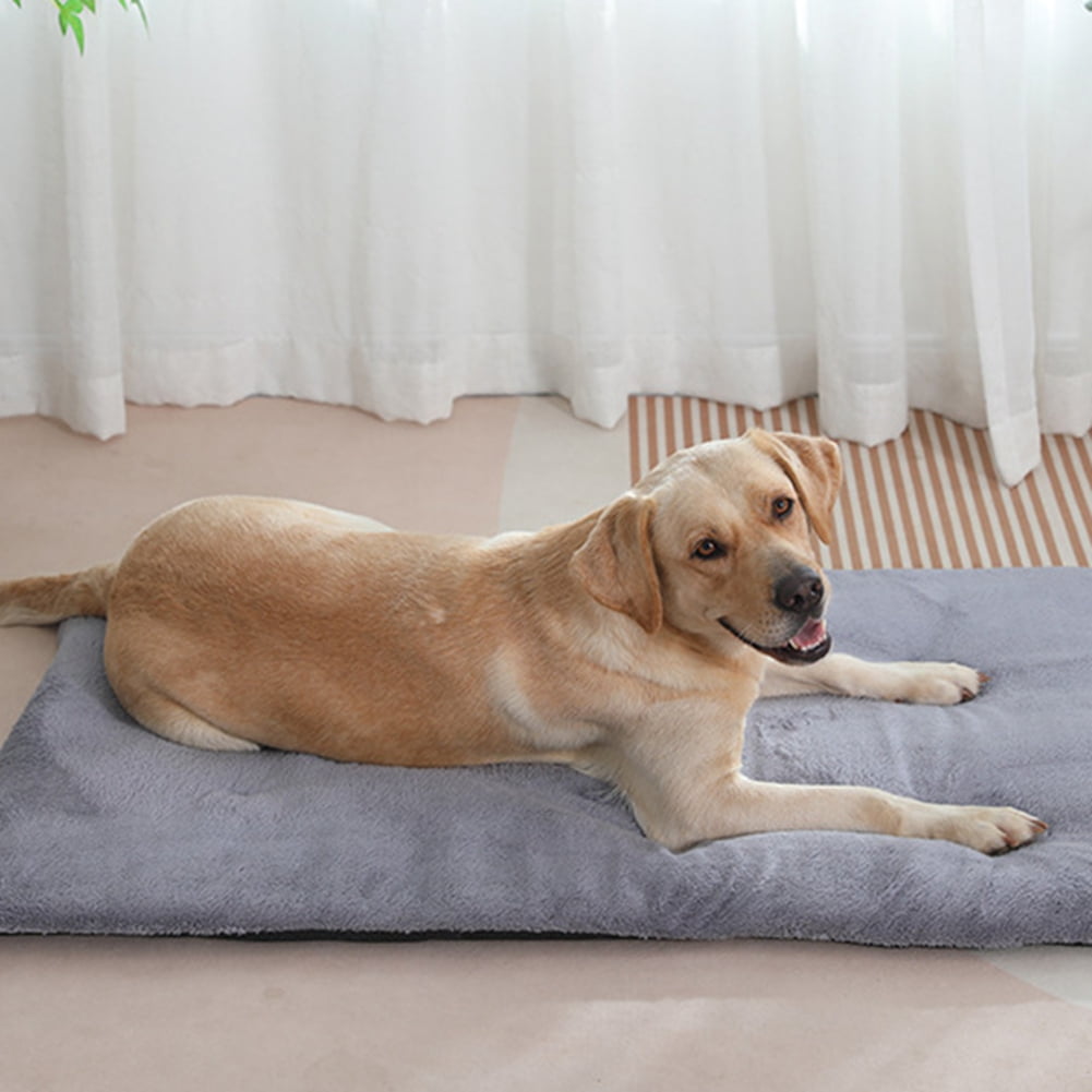 Self Warming Bed for Cat Dog,Pet Warming Mats for Cat Dog,Waterproof ...