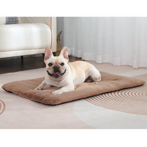 Self-Warming Pet Bed, Thick Orthopedic Dog Cat Mat with Removable Cover ...