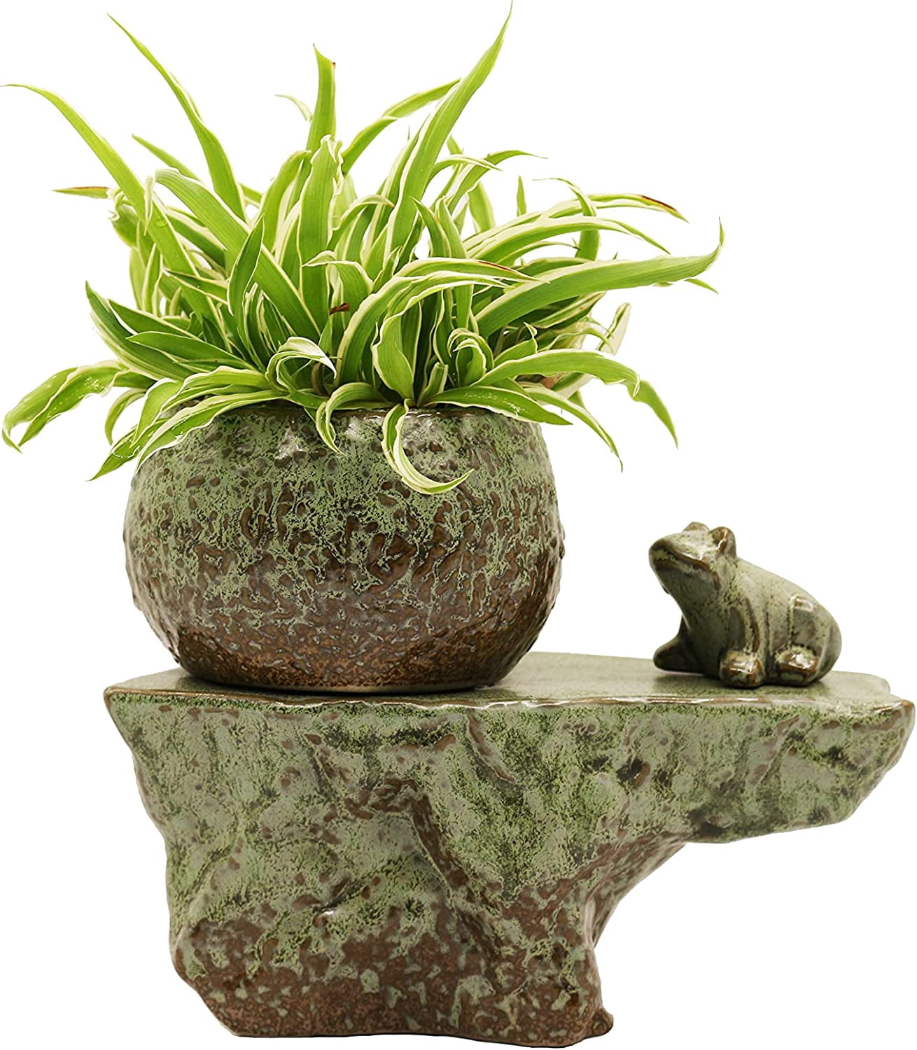 Self Watering Ceramic Pot with Plant Buddy Frog Figernie in Two Tone ...